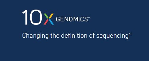 10xgenomics - Timmerman Report