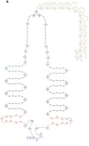 How a Dark Horse Candidate is Upending the Sequencing Market ...